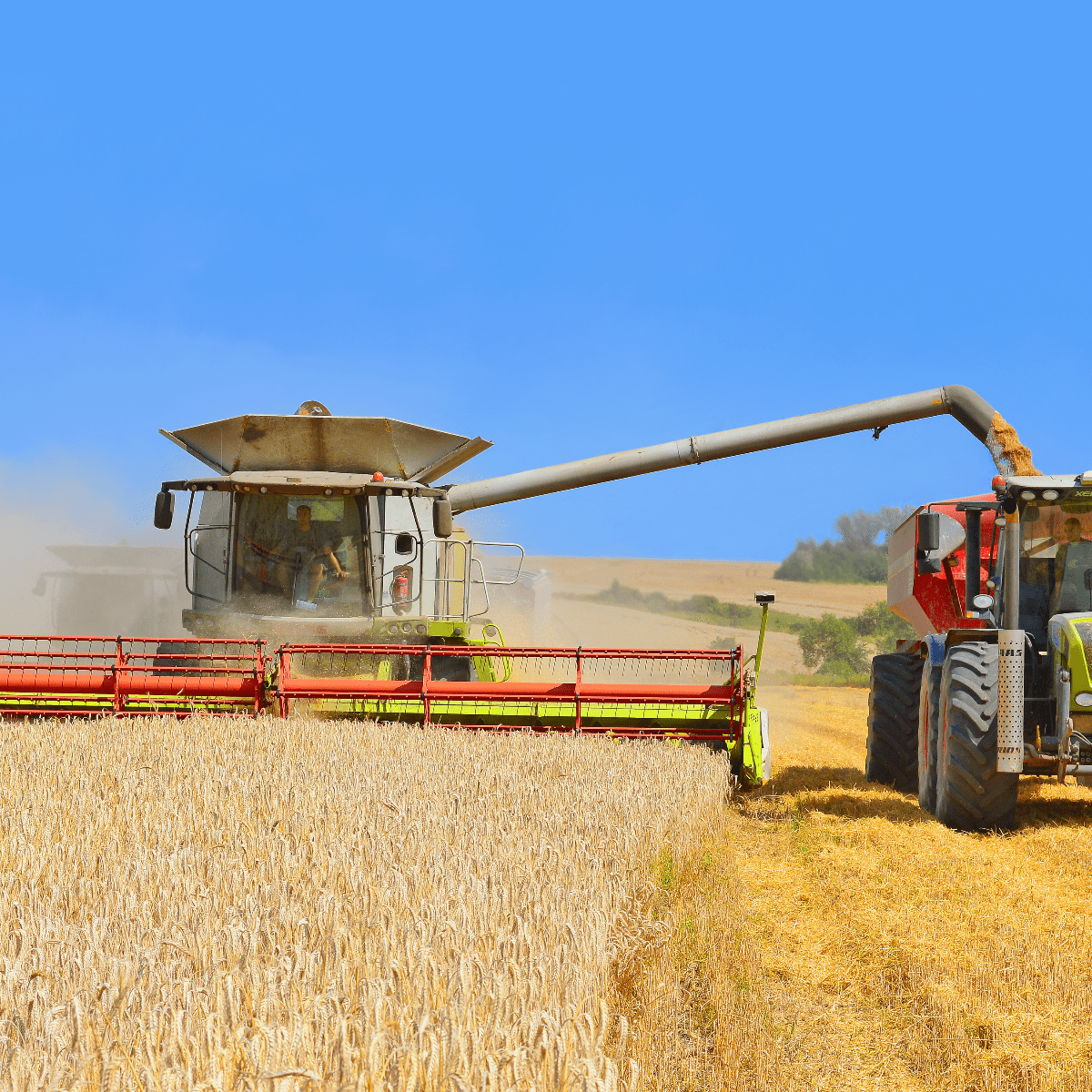 International Connections – We connect people to the world